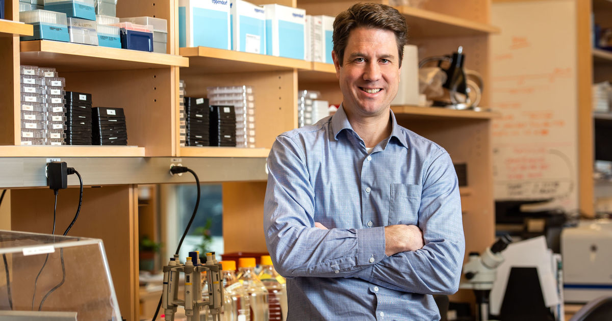 Researchers Home in on Biochemical Link Between Brain Injury, Alzheimer ...