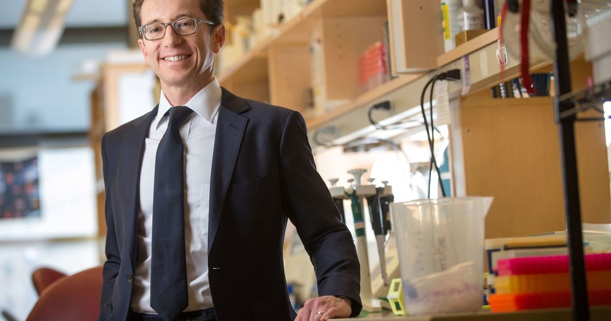 An Enzyme that Selectively S-nitrosylates Proteins to Regulate Insulin ...