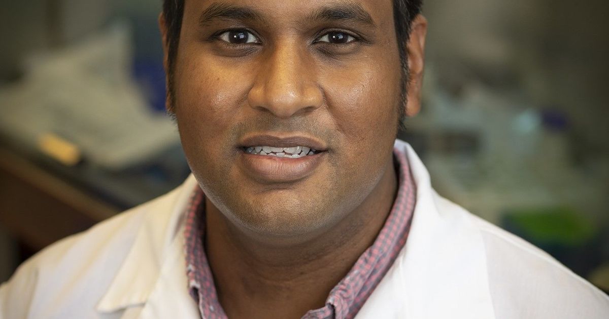 Wisconsin scientists studying gene-editing tech to cure blindness ...